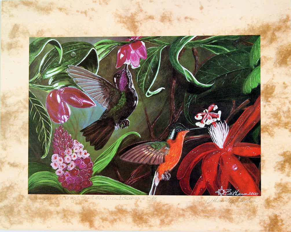 Whispering Wings Limited Edition Print – Natural Artist